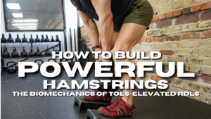 The Biomechanics of Toes-Elevated RDLs: How to Build Powerful ...